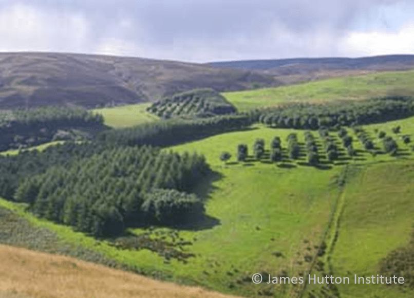 Understanding carbon sequestration from nature-based solutions ...