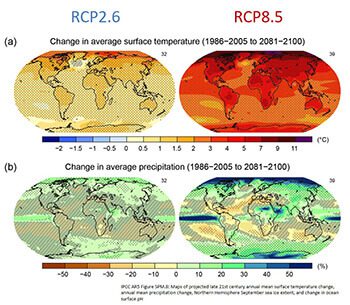 Review of actions taken by countries and regions to meet ambitious ...