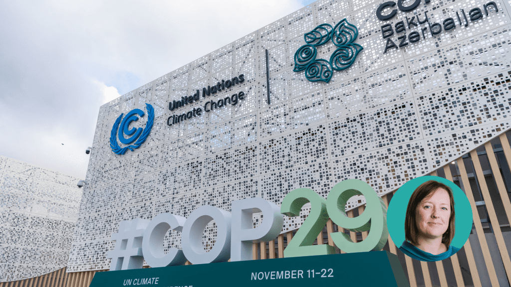 Slow progress on climate adaptation at COP29 | ClimateXChange